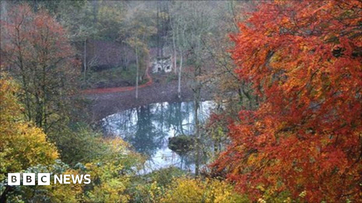 Hackfall woods wins Europa Nostra conservation award - BBC News