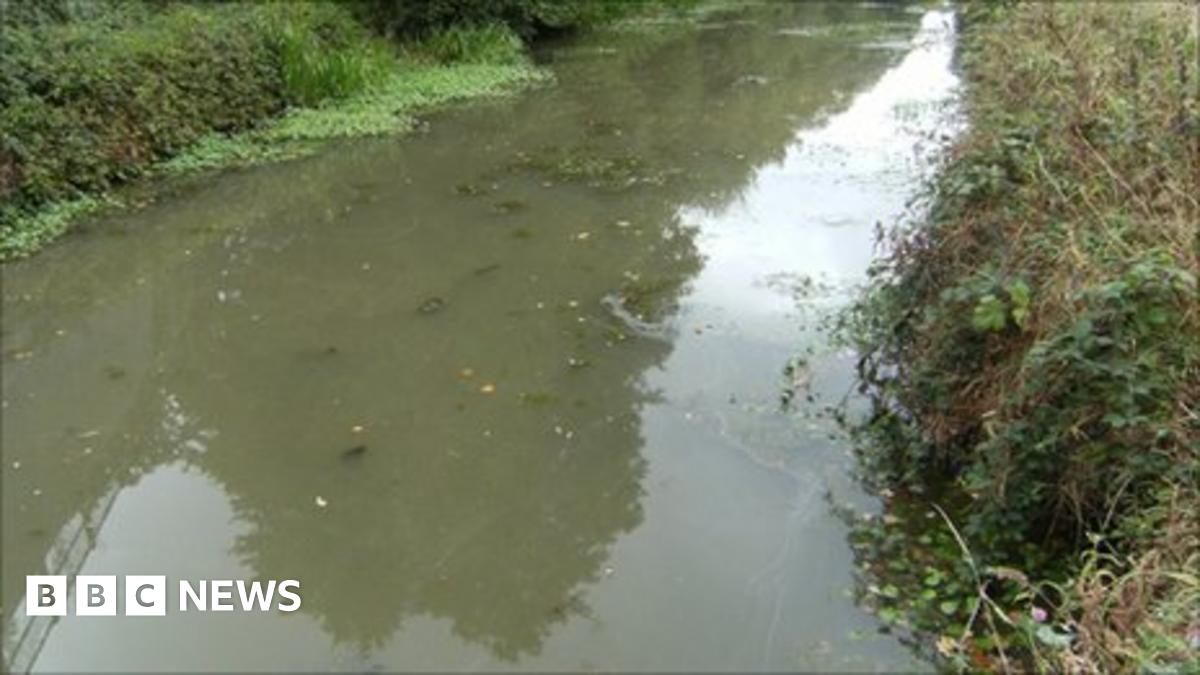 Thames Water fined for Basingstoke Canal pollution - BBC News