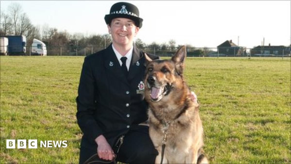 Kent officer is top female handler at police dog trials - BBC News