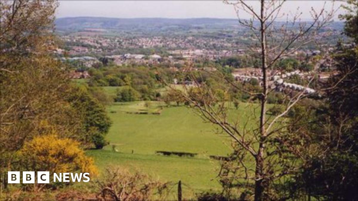 Torfaen council approves 4,700 new houses and Gypsy site - BBC News