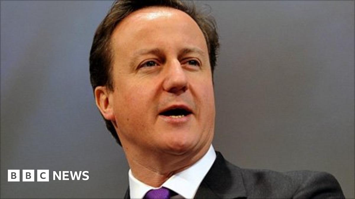 David Cameron: Coalition faces 'choppy period' over AV - BBC News