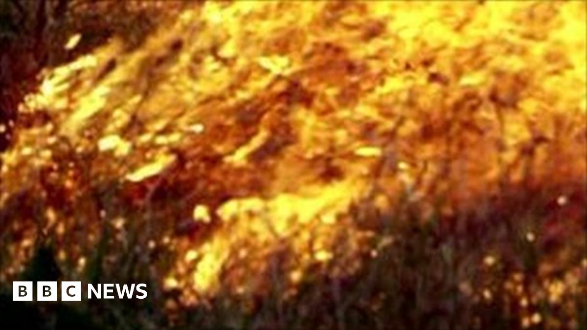 Dorset firefighters tackle Wareham Forest fire - BBC News