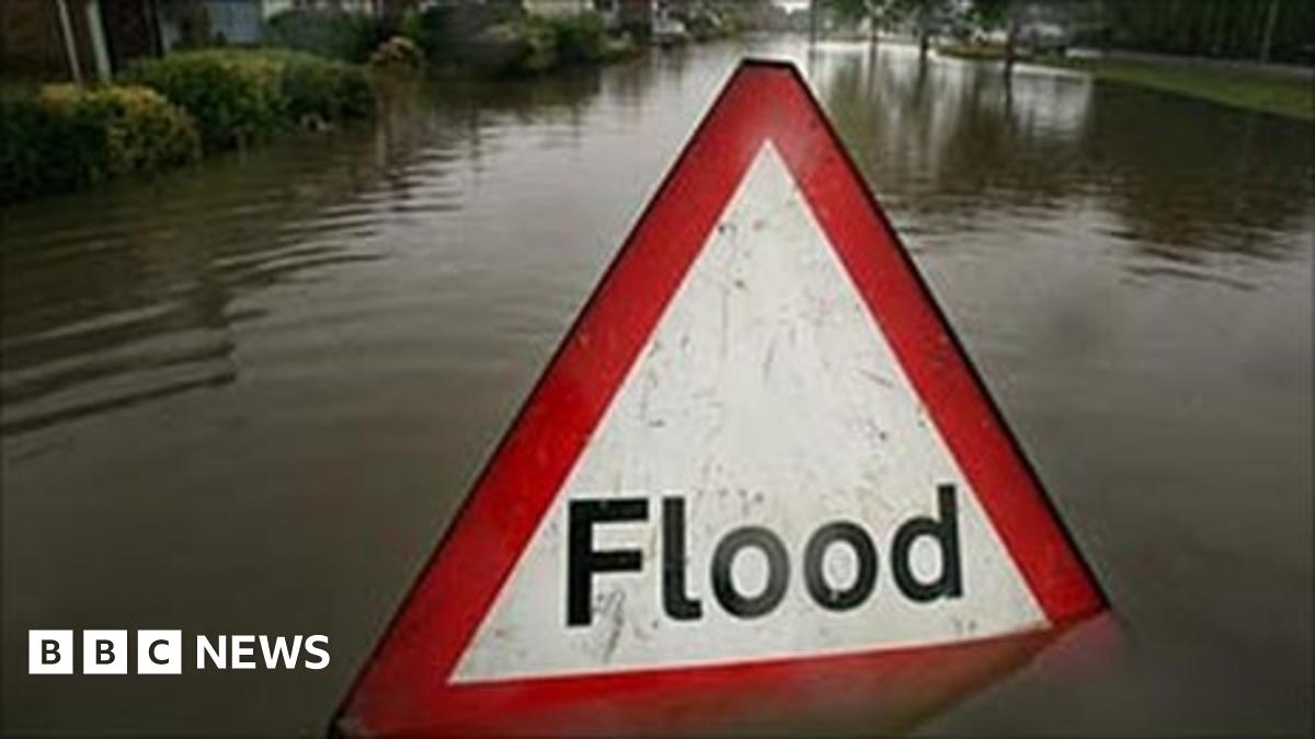 Siren makes history at exhibition - BBC News