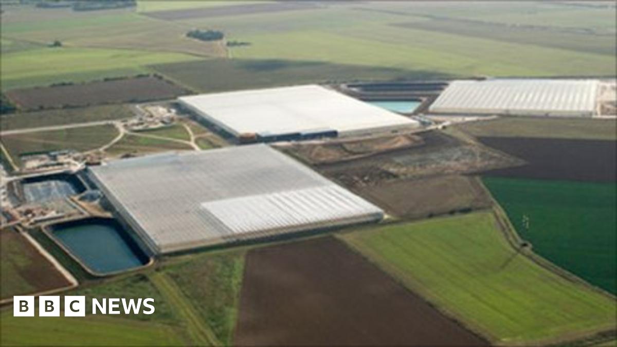 Thanet Earth staff agencies 'did not breach guidelines' - BBC News