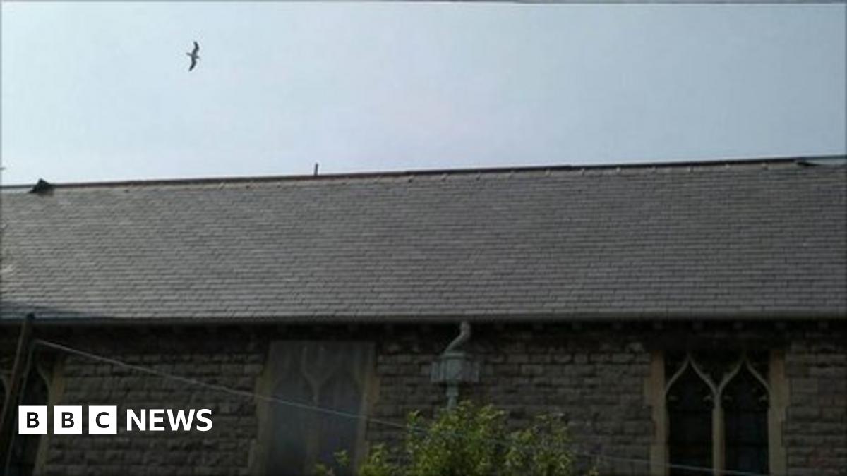 Cardiff vicar Dean Atkins's open letter to lead thieves - BBC News