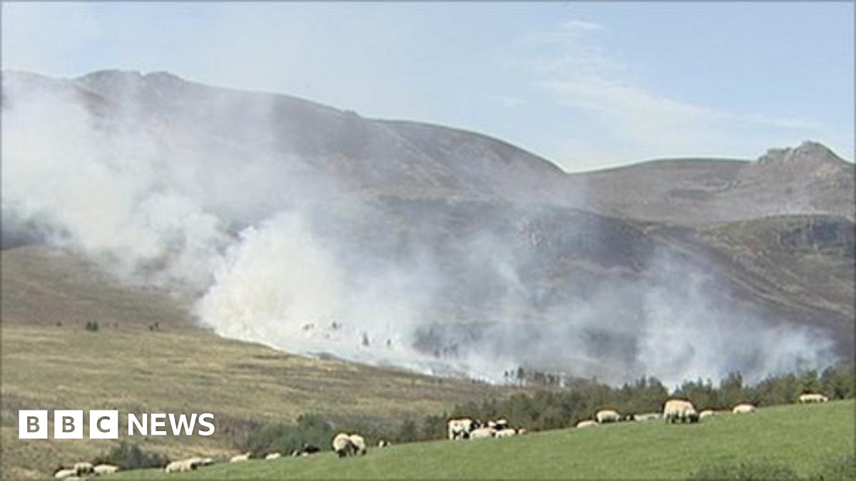 PSNI warn gorse fires are 'putting lives at risk' - BBC News