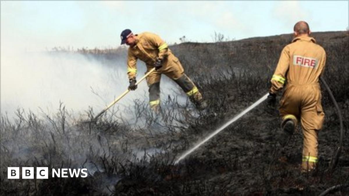 Forest fires continue to burn across UK - BBC News