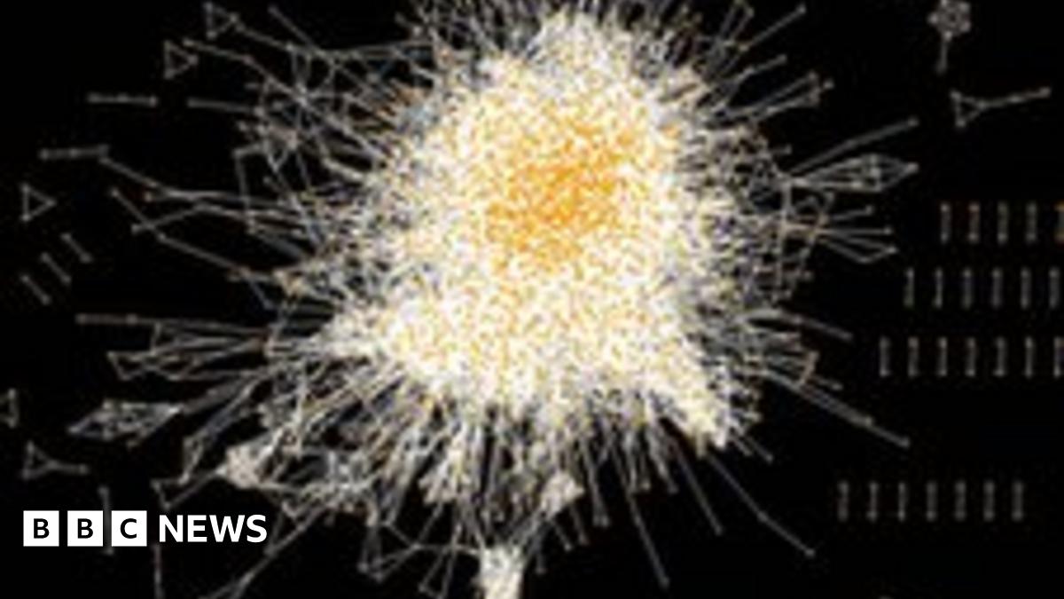 Gene clue to how superbugs attack - BBC News