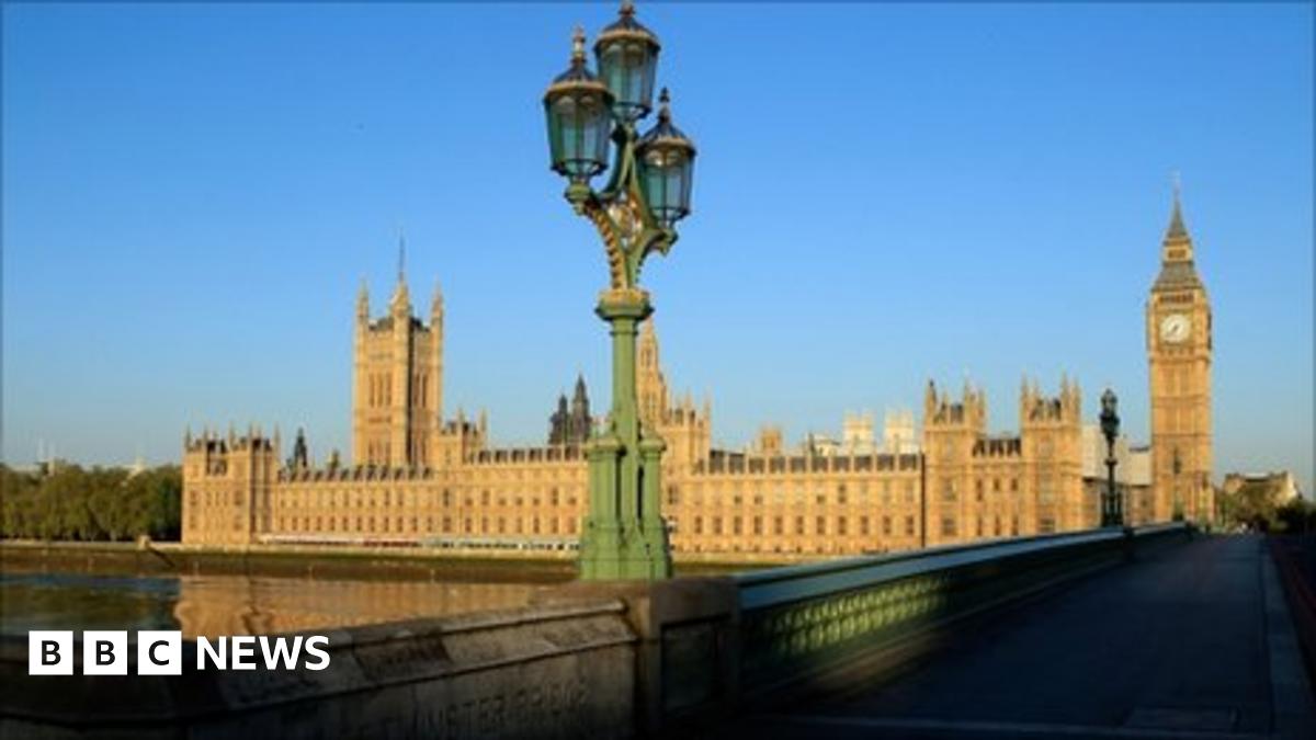 MPs back review of expenses system - BBC News