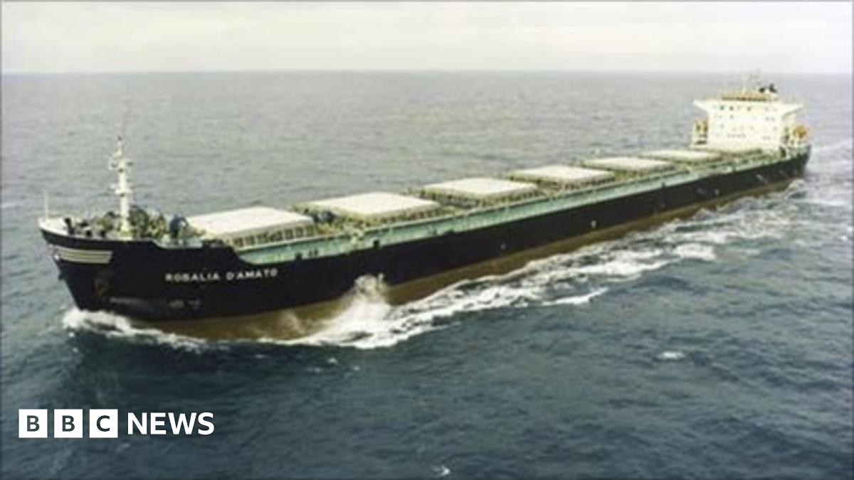 Somali piracy costs $8.3bn a year, report says - BBC News