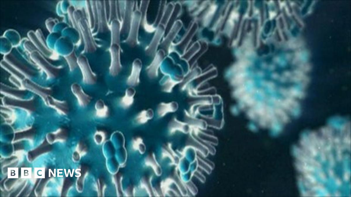 Winter flu death toll topped 600 - BBC News