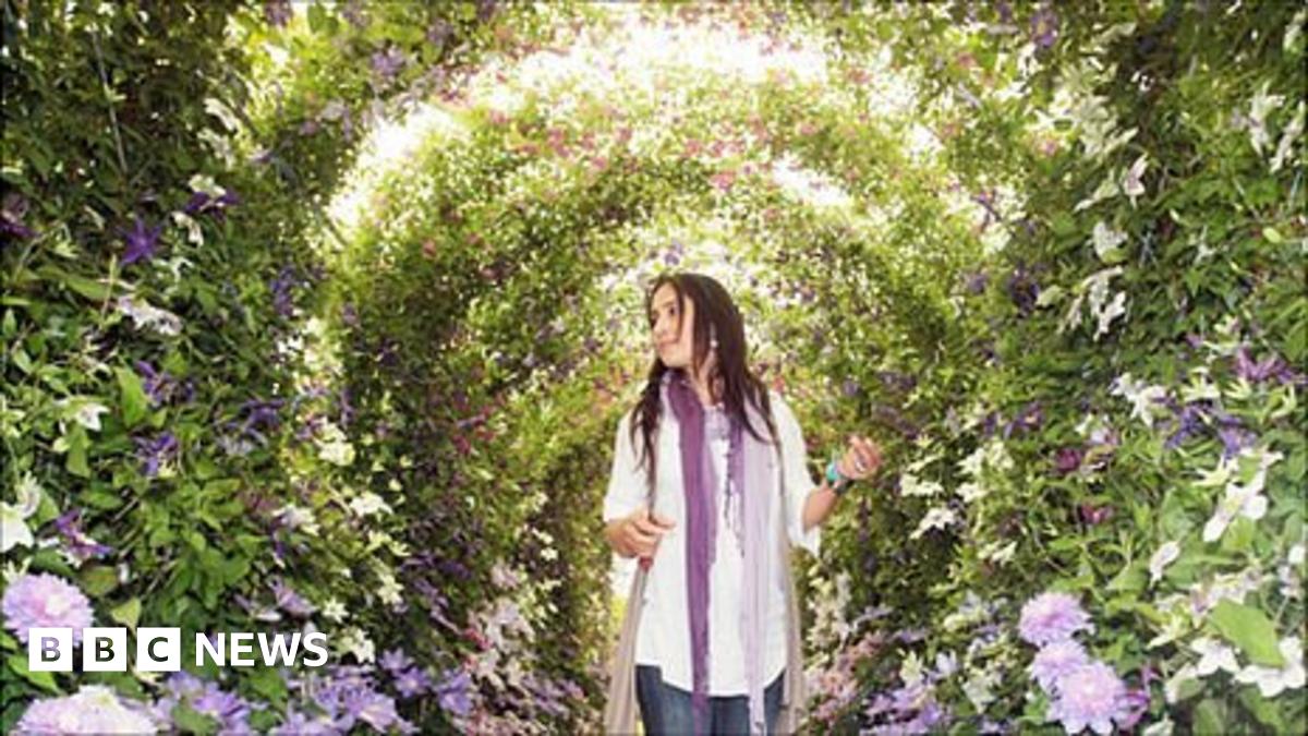 Chelsea Flower Show gold for Raymond Evison - BBC News