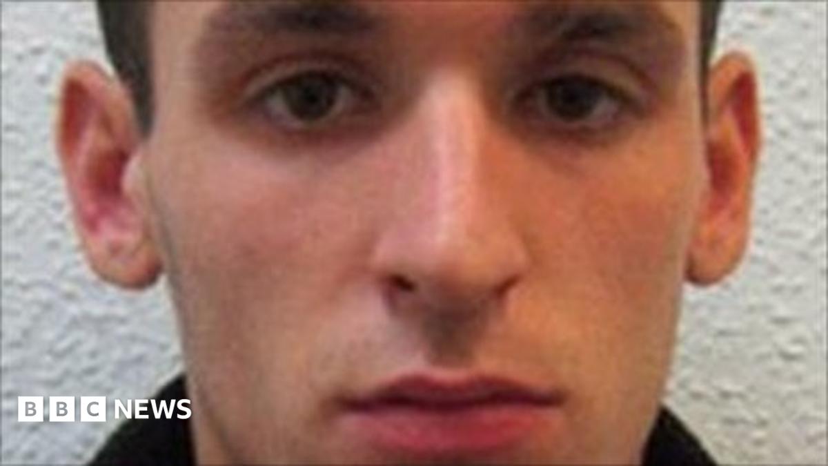 Surrey man Luke Young admits robbery charges - BBC News