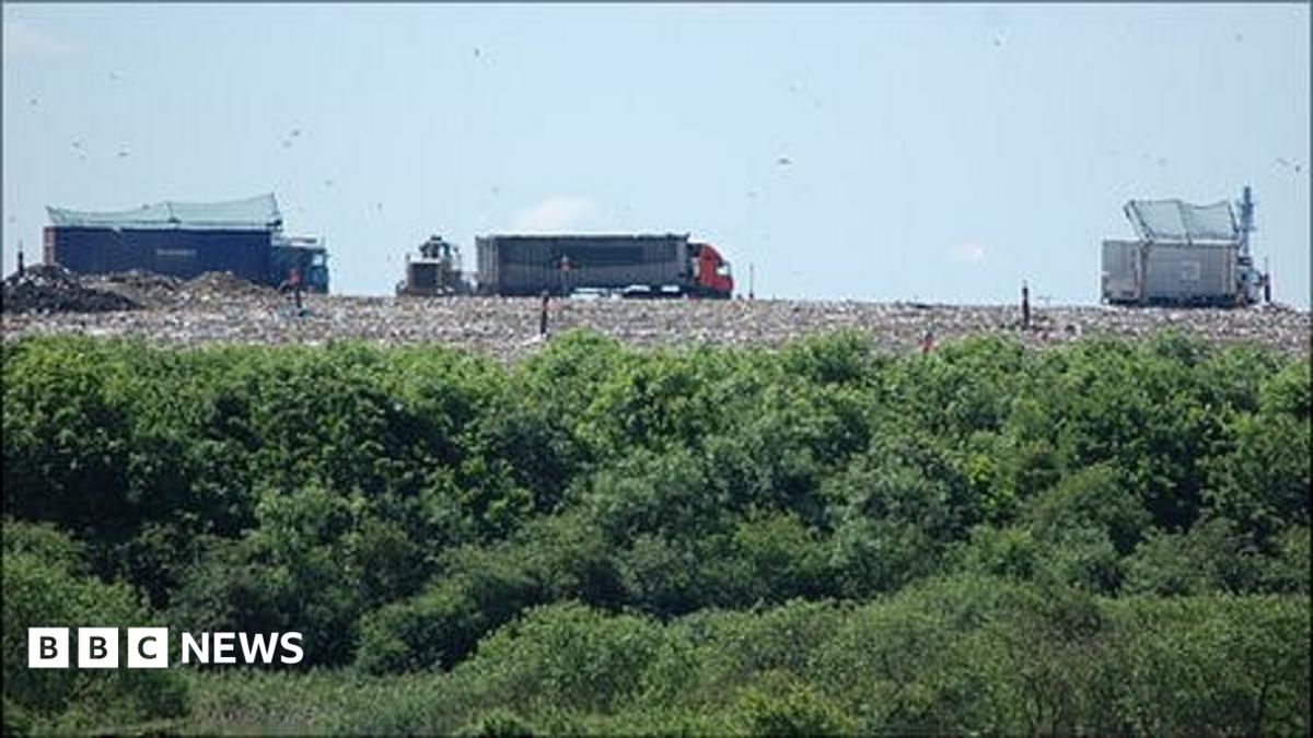 BBC Springwatch show to feature Pitsea landfill site - BBC News