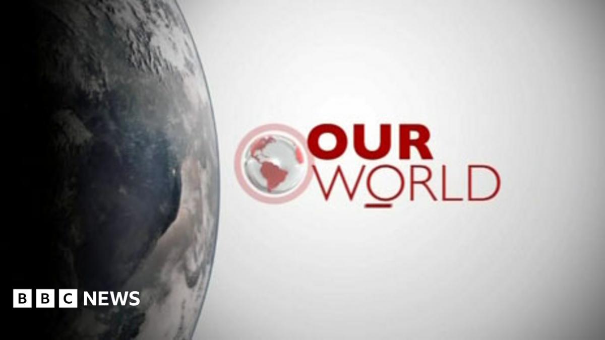 Our World - BBC News