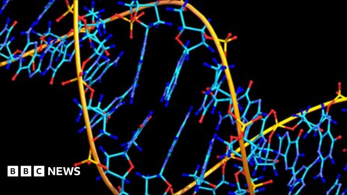 DNA computer 'calculates square roots' - BBC News