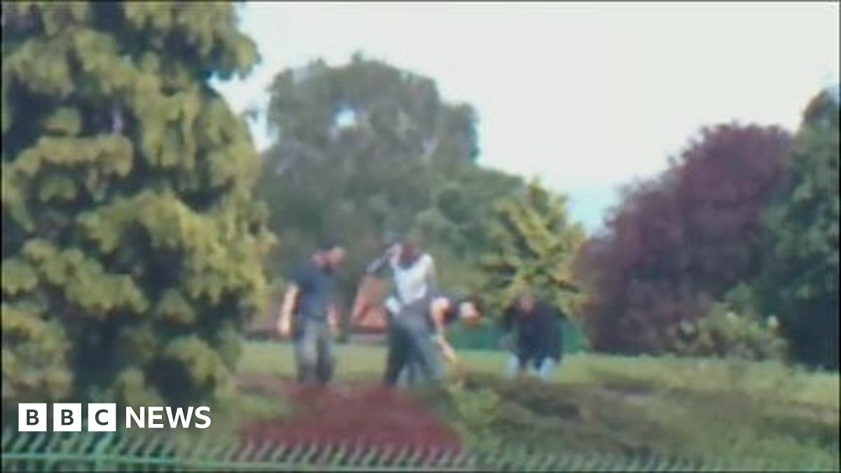 Dog survives being hit with wrench in Nottingham - BBC News