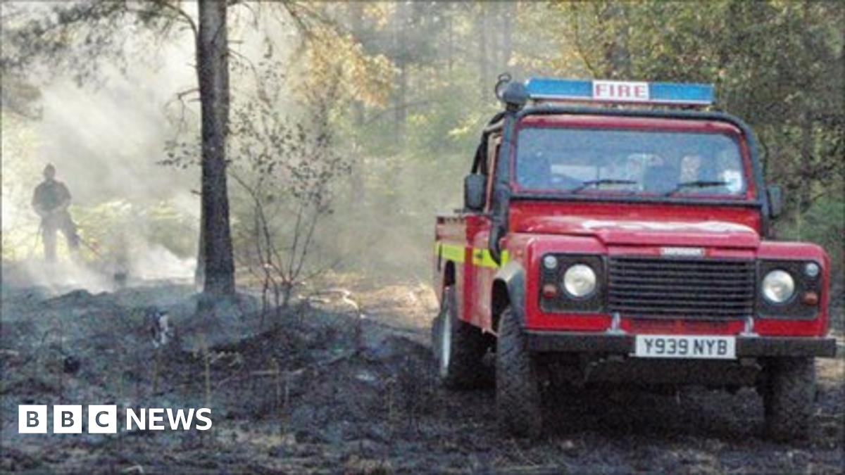 Hurn Forest heath fire in Dorset thought to be deliberate - BBC News
