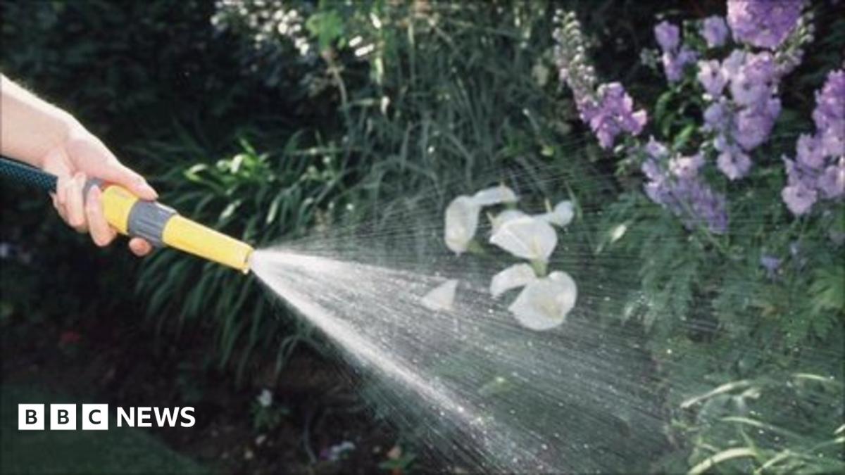 Sutton and East Surrey water warning follows dry spring - BBC News