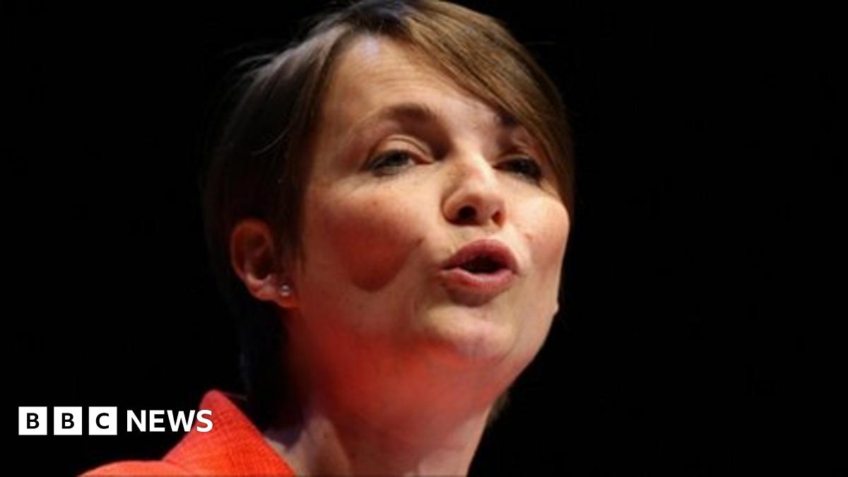 Lib Dem disqualifications 'shambles' - Eleanor Burnham - BBC News