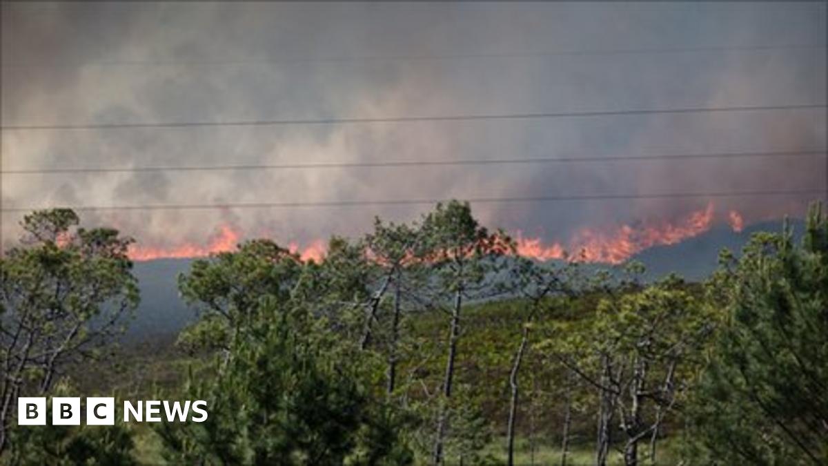 Dorset heath fire 'biggest since 1976' - BBC News