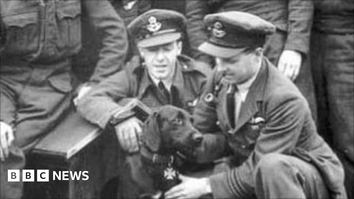 Dam Busters dog renamed for movie remake - BBC News