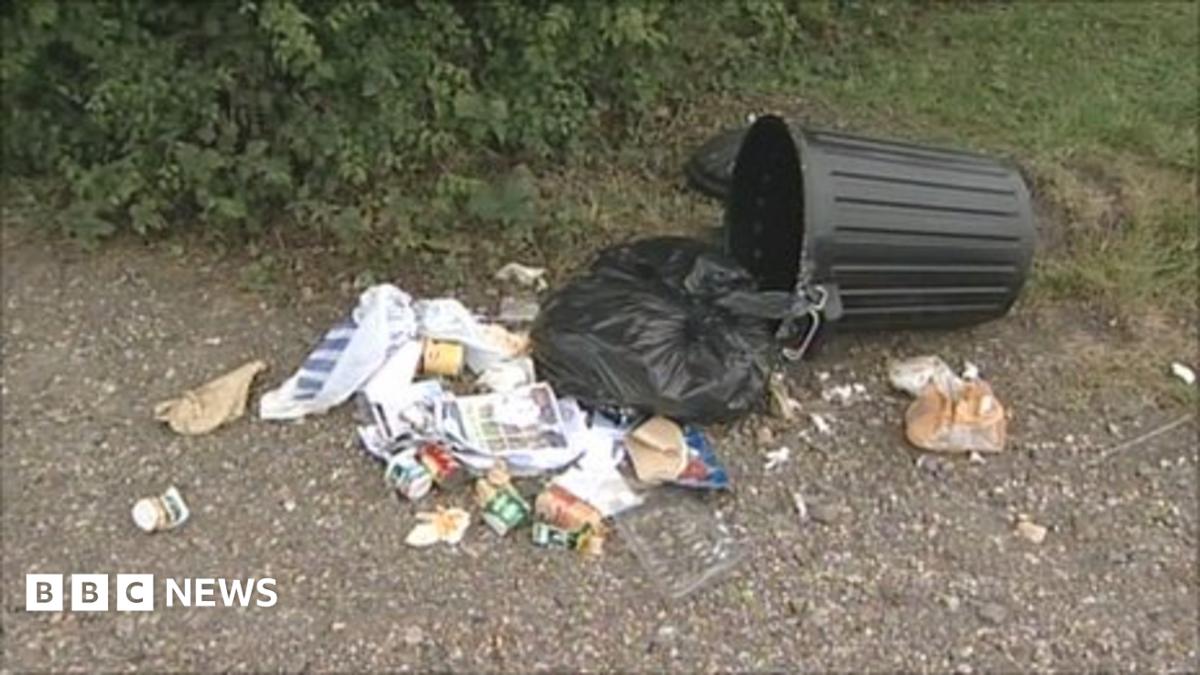 Colchester Borough Council's 'wheelie bin refusal' - BBC News
