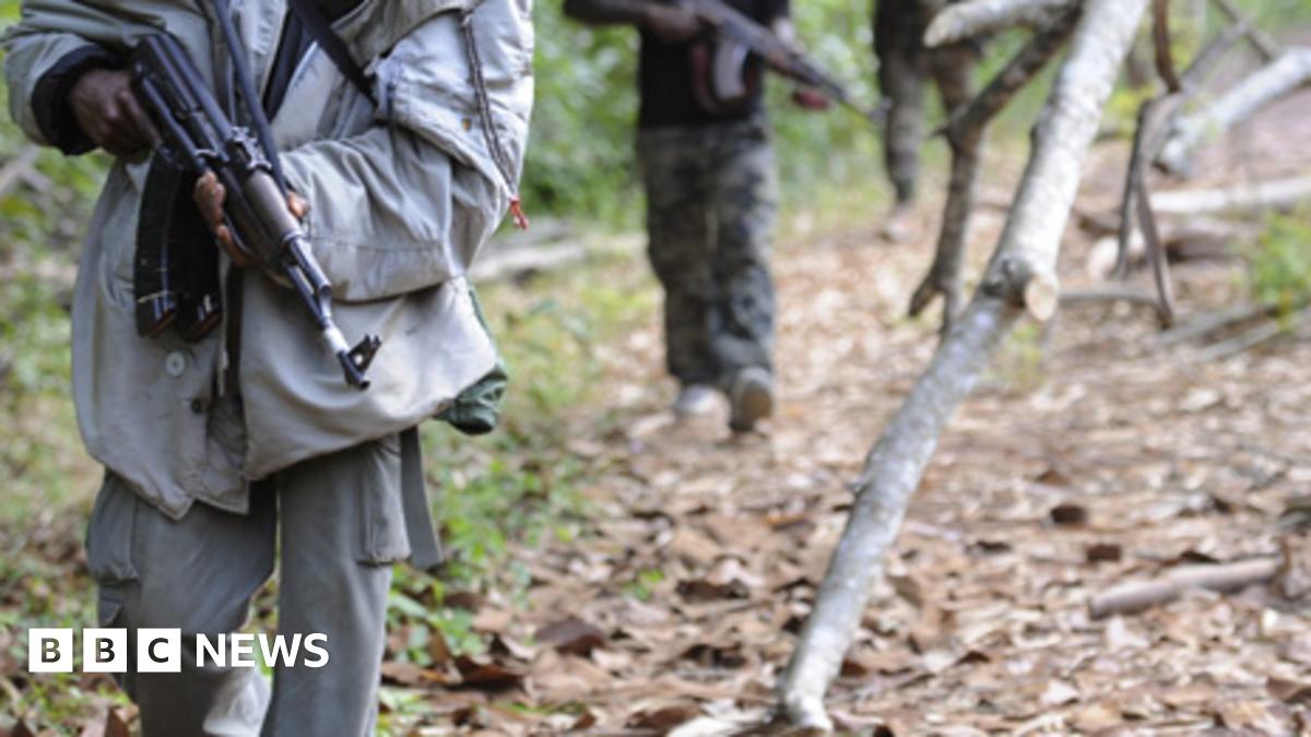 Liberia discovers arms cache near Ivory Coast border - BBC News