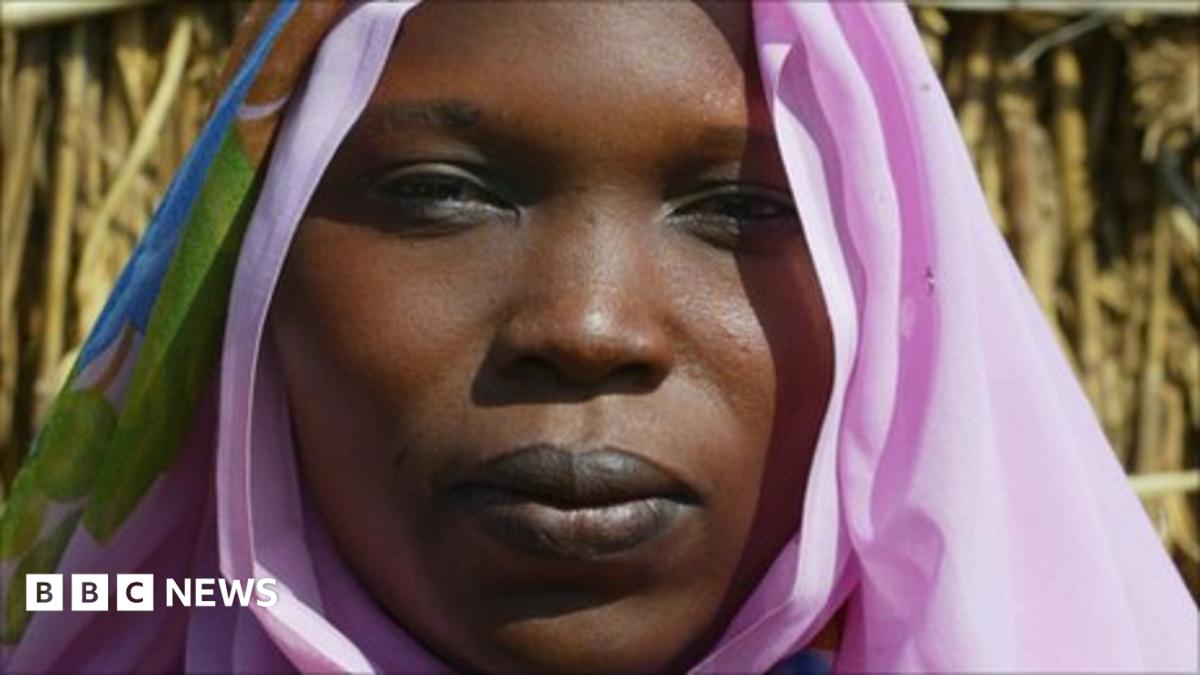 Sudan fear for missing UN worker Hawa Abdullah Mohammed - BBC News