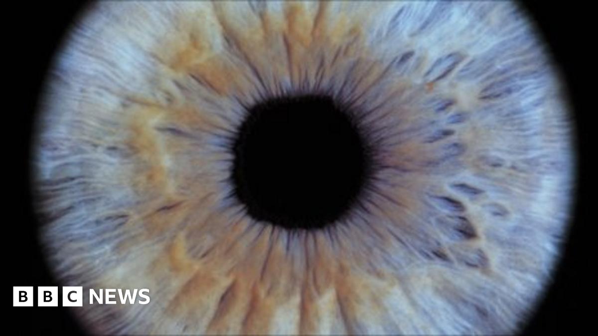 Human eye protein senses Earth's magnetism - BBC News