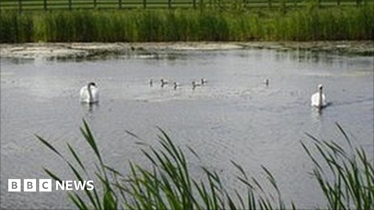 Riverside park from Stockton to Yarm undergoes revamp - BBC News