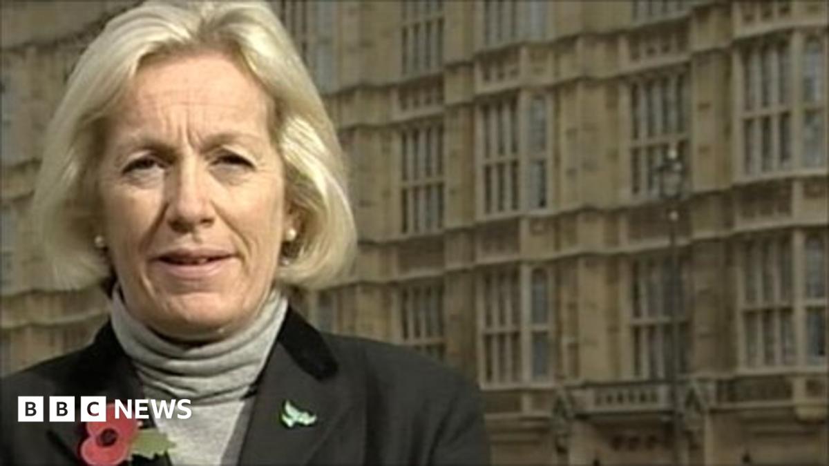 Lib Dem MP Tessa Munt begins pylon campaign - BBC News