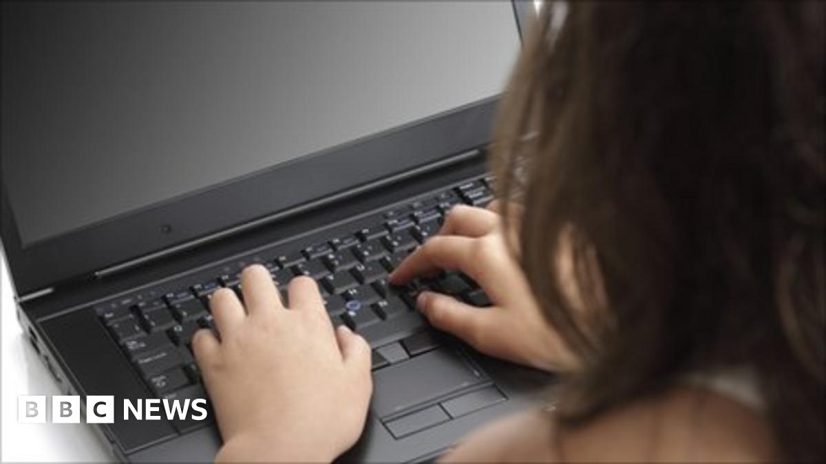 Cyberstalking threat to many, says Plaid MP Elfyn Llwyd - BBC News