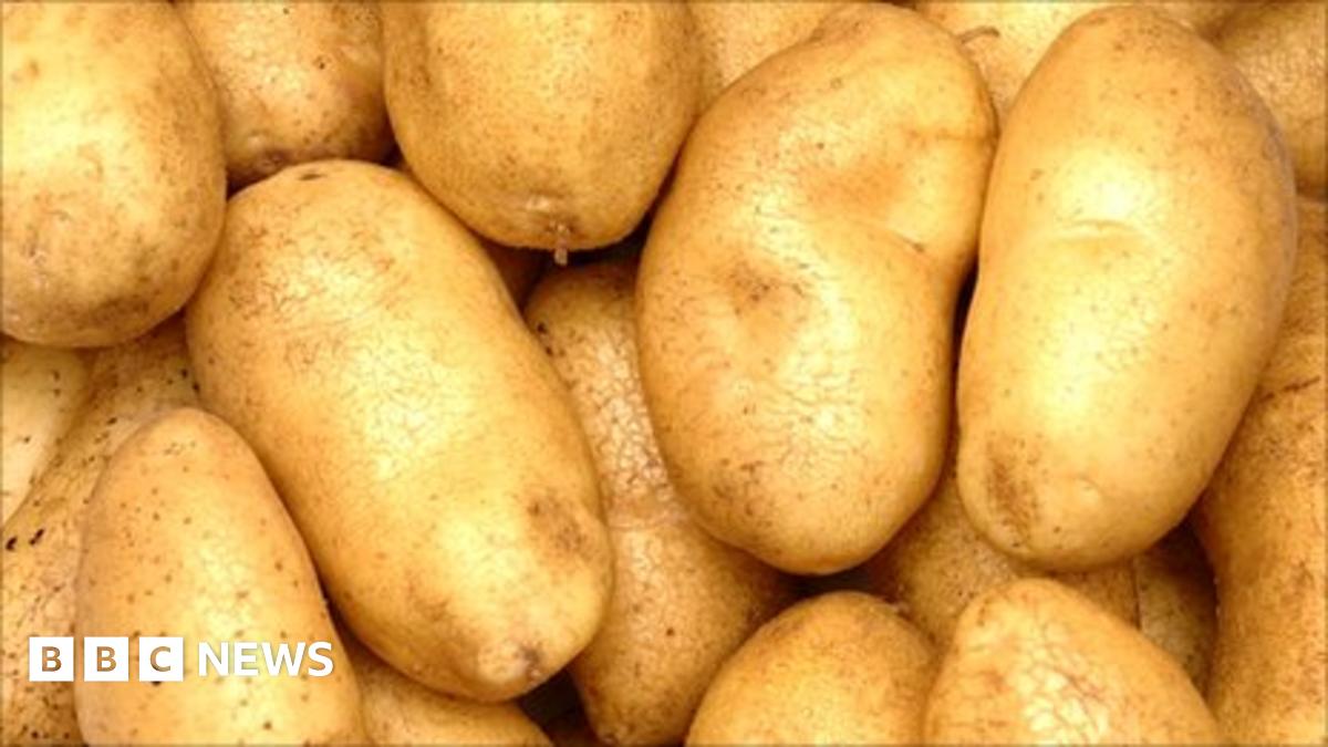 Potato genome sequenced by international team - BBC News