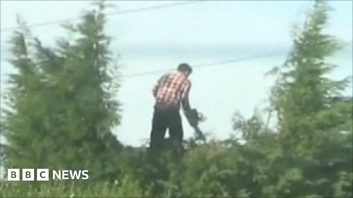 Fraud gang must repay more than £415,000 after scams - BBC News