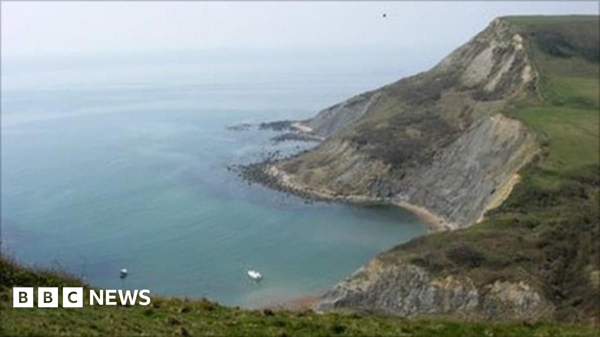 Dorset anglers urged not to try and catch bluefin tuna - BBC News