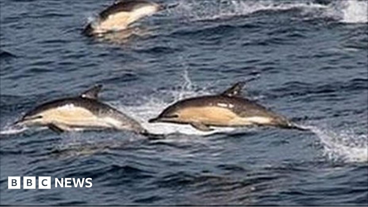 Plymouth University's £2m project on wave energy - BBC News