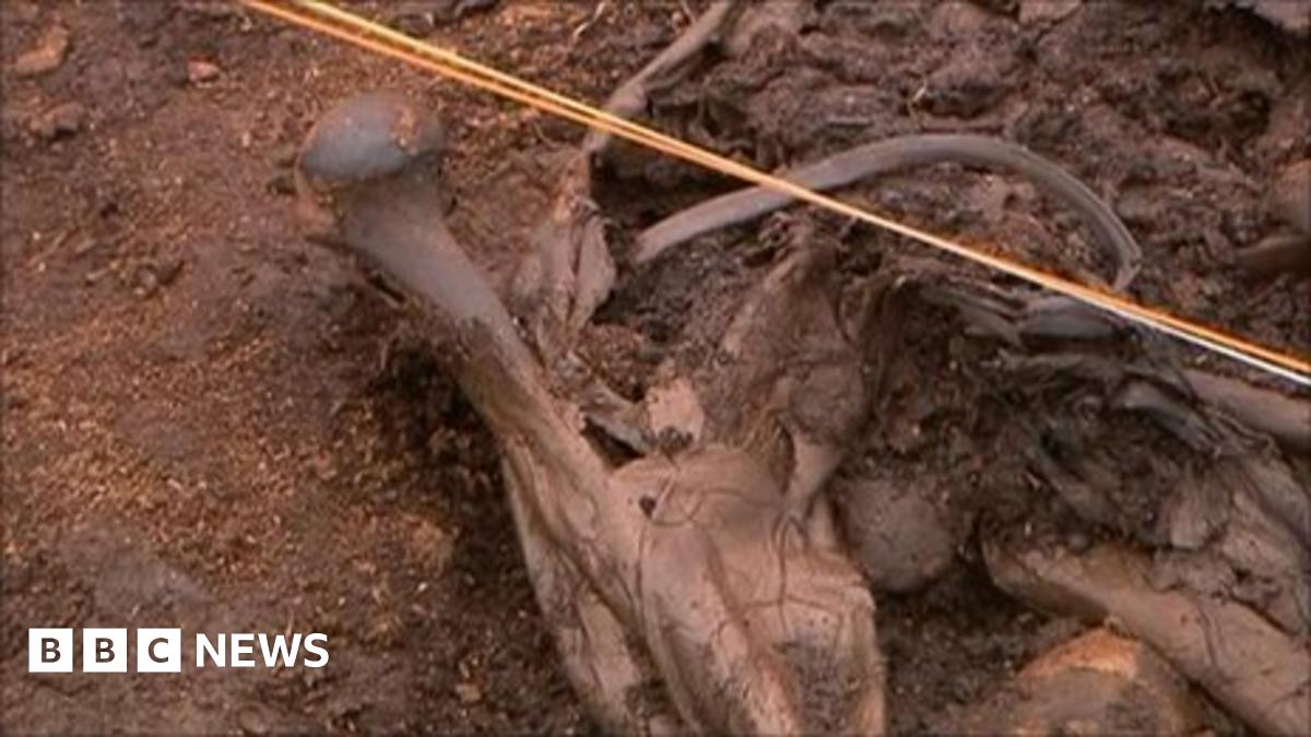 Irish prehistoric bog body may have been sacrifice victim - BBC News
