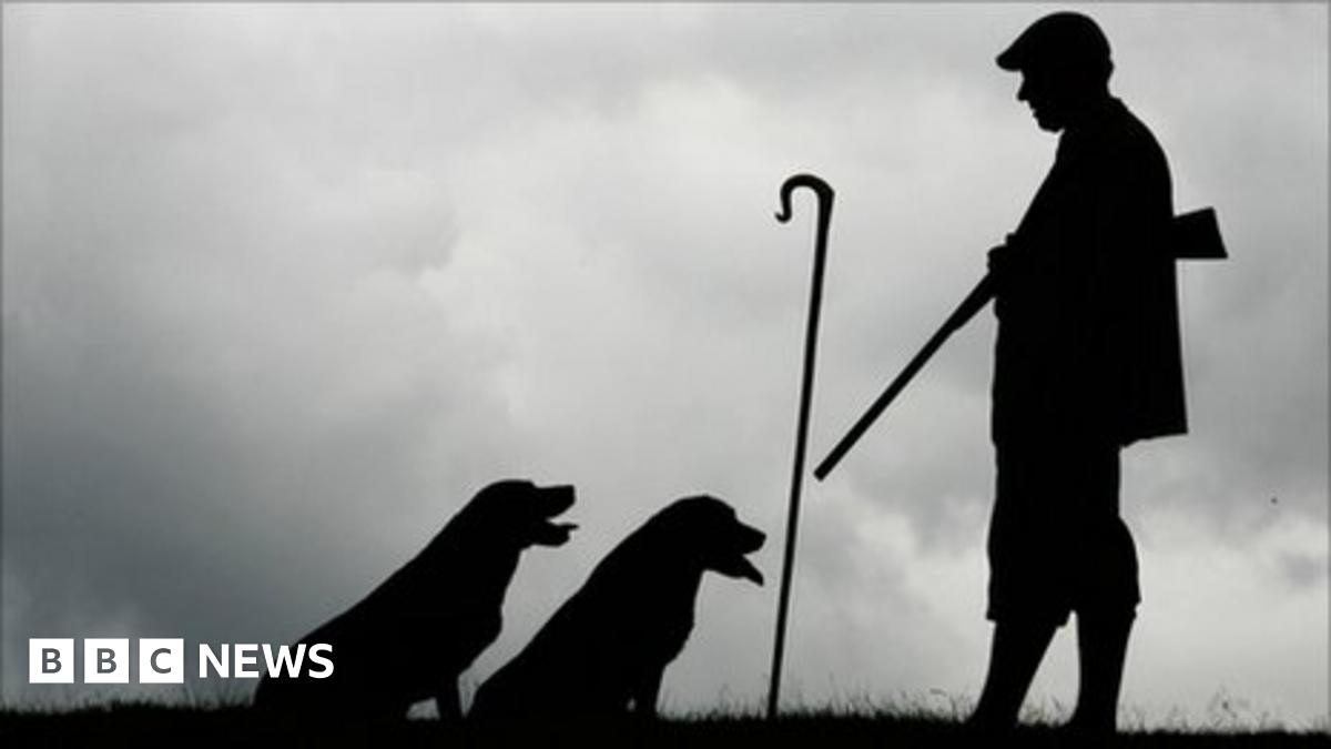 Western Isles guga hunt leader hits back at SSPCA - BBC News