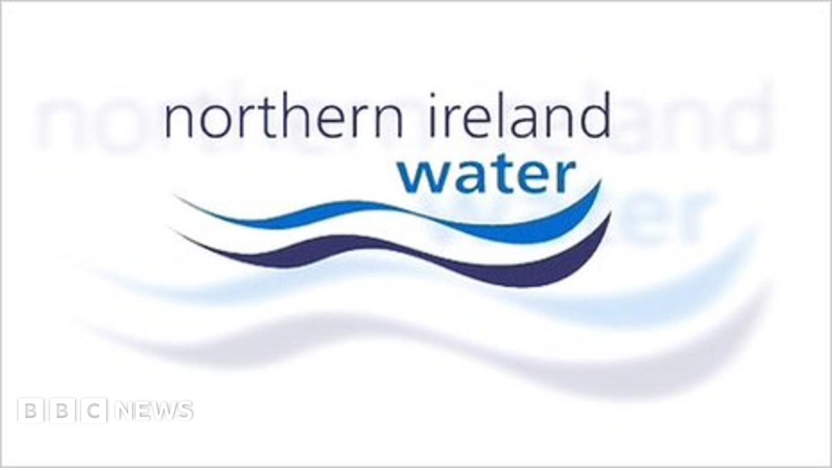 NI Water is fined £1,000 over pollution at Waringstown - BBC News