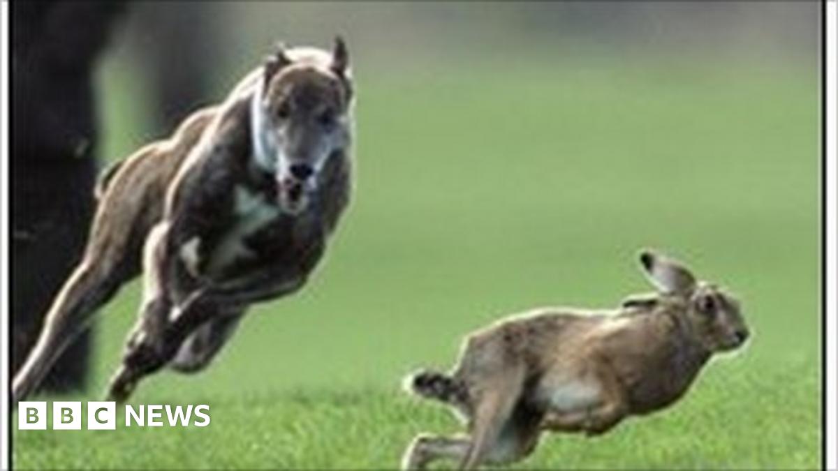 Wife feared Suffolk hare-coursers had killed husband - BBC News
