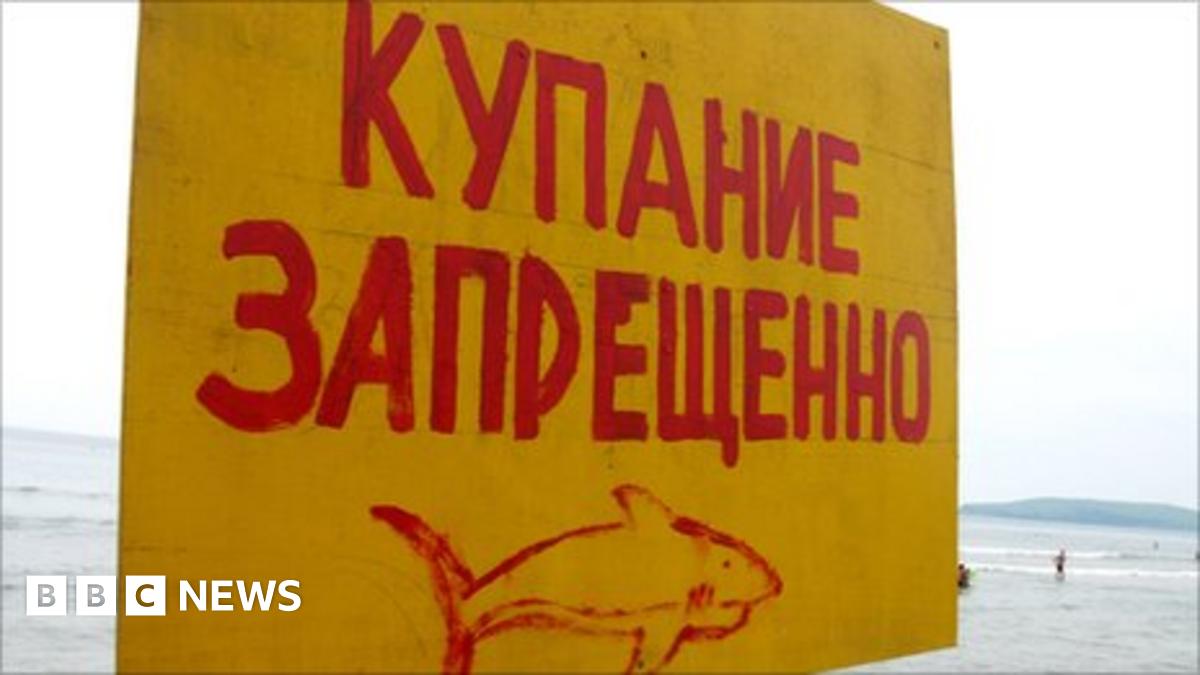 Russia sharks: Two attacks in 24 hours on Pacific coast - BBC News