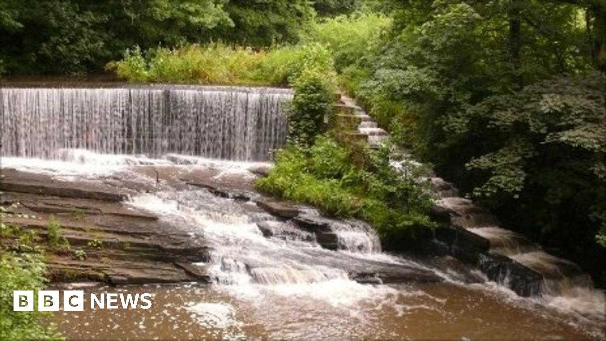 River Yarrow attracts otters and kingfishers - BBC News