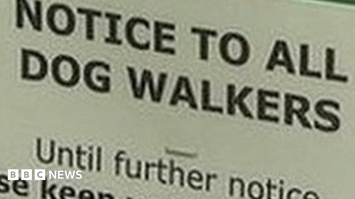 Research into Nottinghamshire fatal dog illness - BBC News