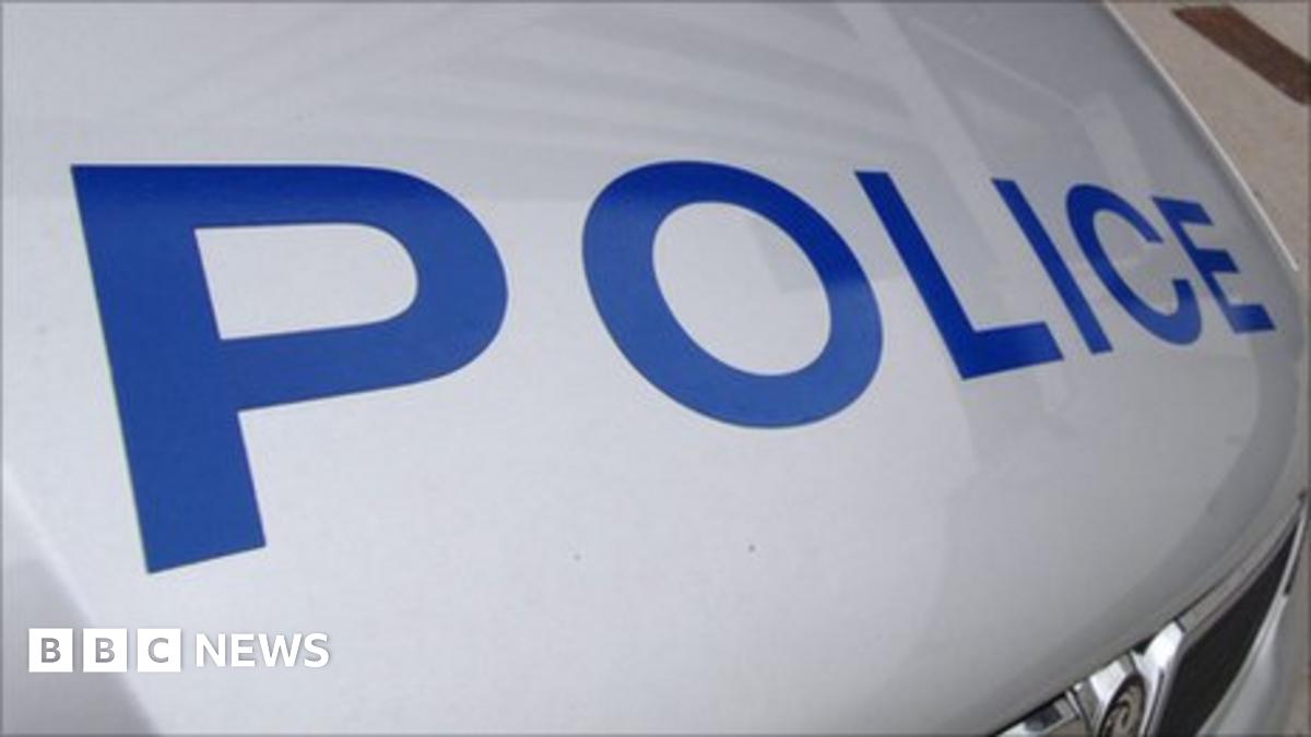 Police plea after girl 'forced' into car in Luton - BBC News