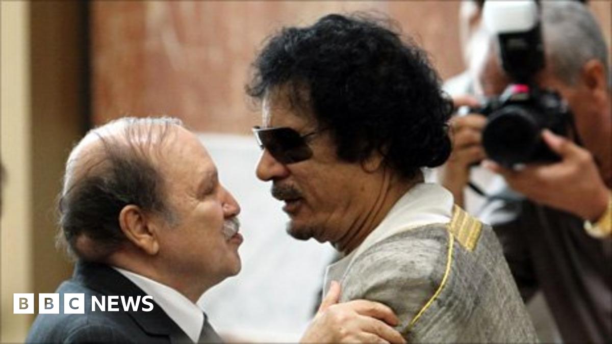 Libya conflict: Why did Algeria take the Gaddafis? - BBC News