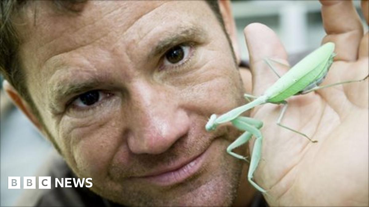 Free Deadly Day Out Horsham roadshow tickets - BBC News