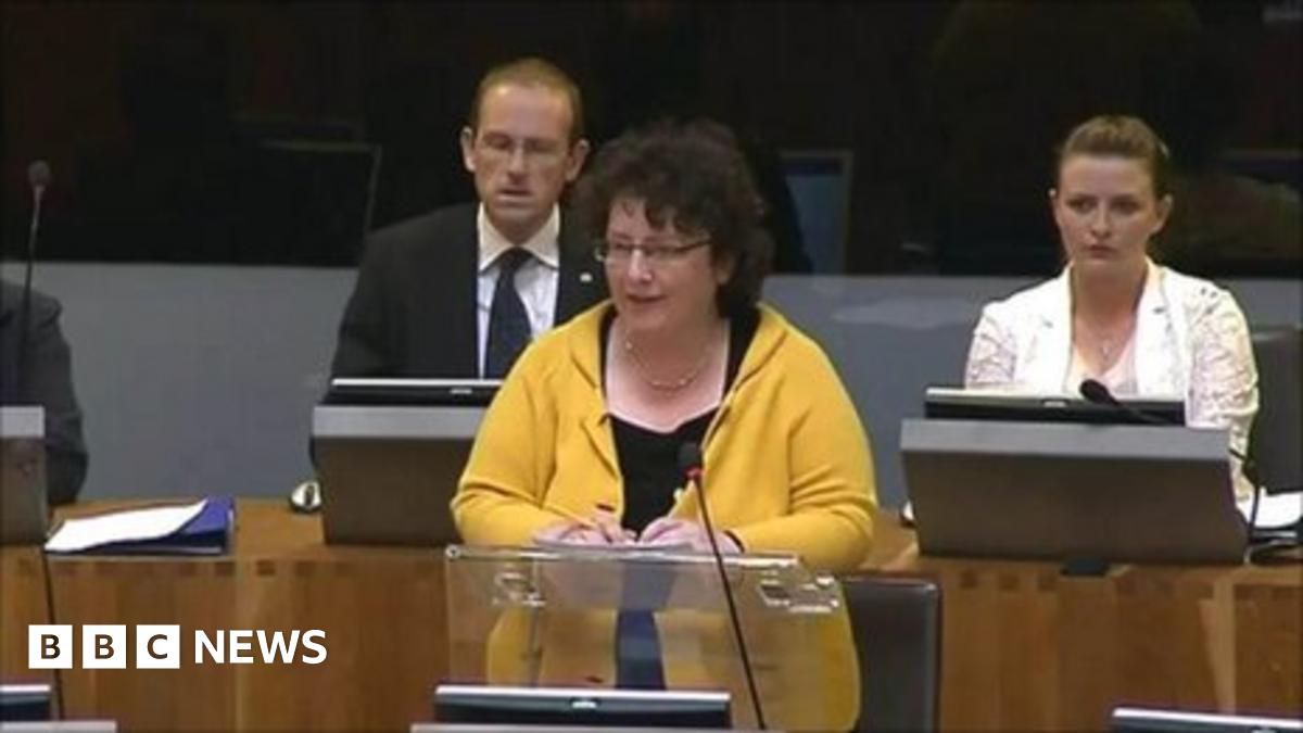 Elin Jones first candidate running for Plaid leadership - BBC News