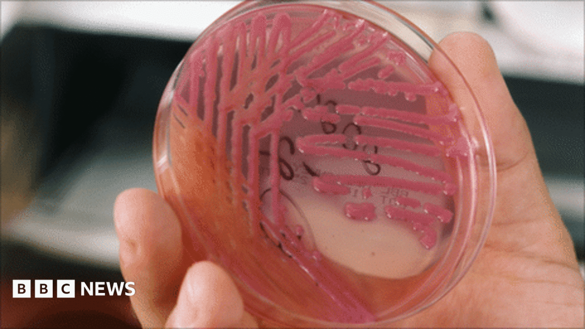 NDM-1 superbug enzyme's 'photofit' taken - BBC News