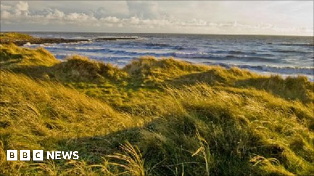 Rare plants extinction threat from changing sand dunes - BBC News